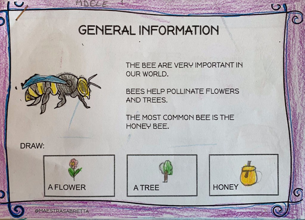 GIORNATA MONDIALE DELLE API – Maestra Sabretta